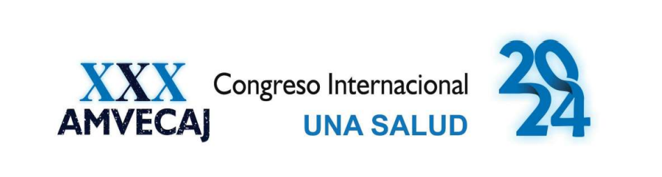 Home | Website AMVECAJ